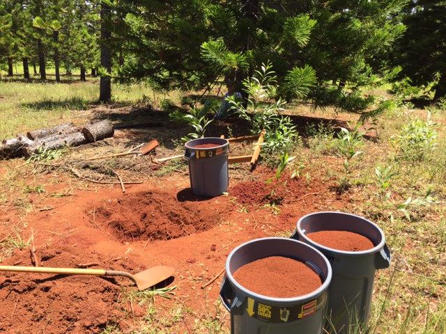 Oxisols – Crow Soil Ecology & Biogeochemistry Lab