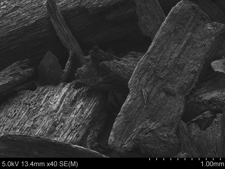 Projects_Biochar SEM – Soil & Carbon