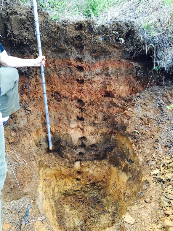 Deep Soil Warming – Crow Soil Ecology & Biogeochemistry Lab
