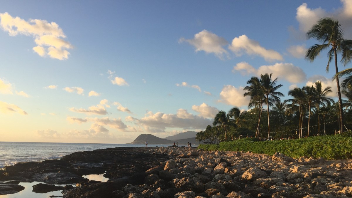 Crow Soil Ecology & Biogeochemistry Lab – Department of Natural ...